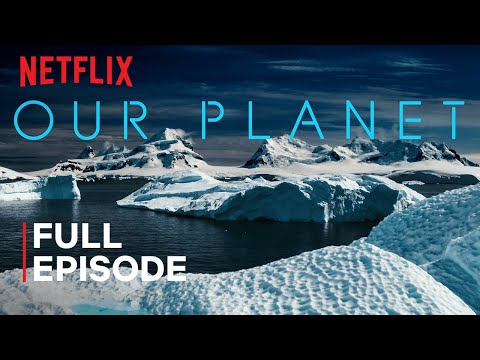 10 documentários escolares gratuitos para assistir em casa | Tapa ao Sal