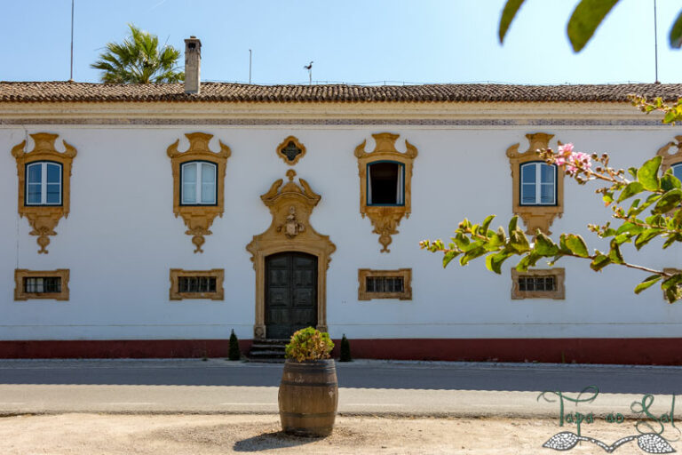 Quinta de Foz de Arouce, João Portugal Ramos, Lousã