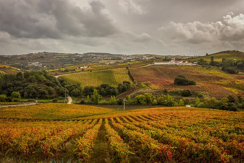 Alenquer: o que visitar? – Guia completo - Tapa ao Sal